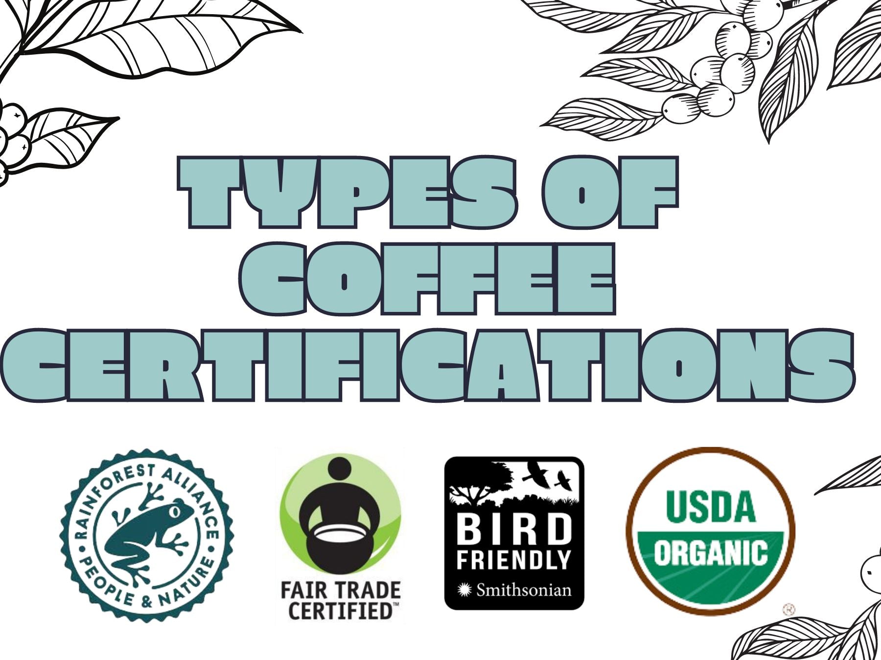 Coffee Certifications: A Guide To The Different Types Of Certification ...