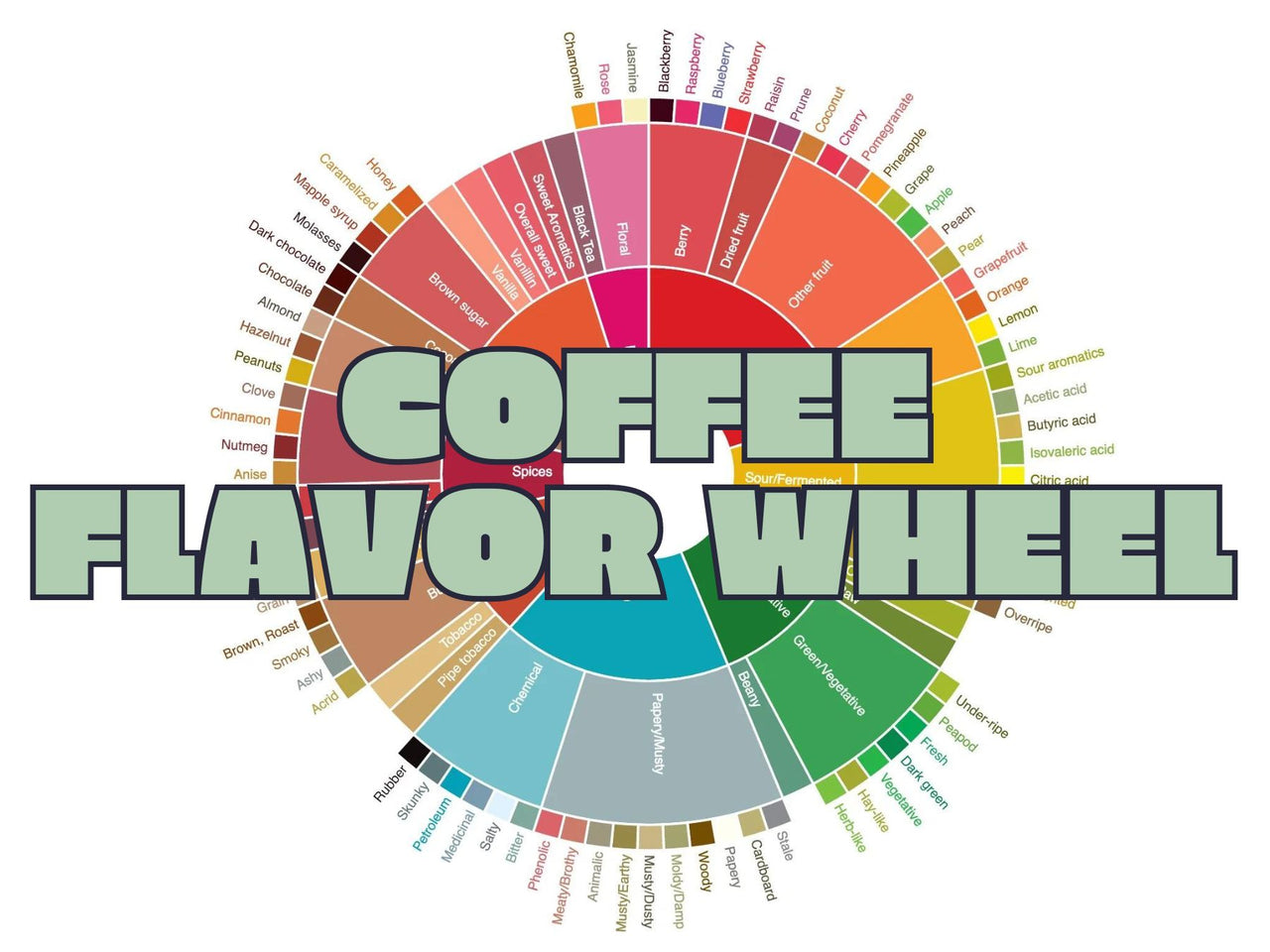 Coffee Certifications: A Guide To The Different Types Of Certification ...