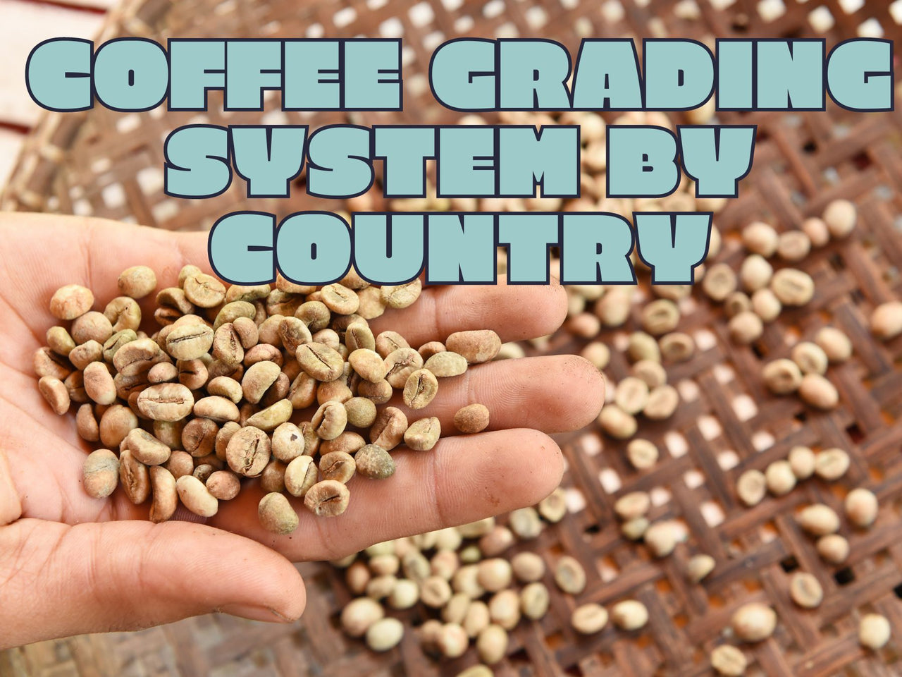 Coffee Grading System: The Grades of Coffee by Country – Curiosity Coffee