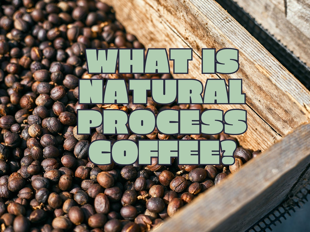 What Is Natural Process Coffee? – Curiosity Coffee